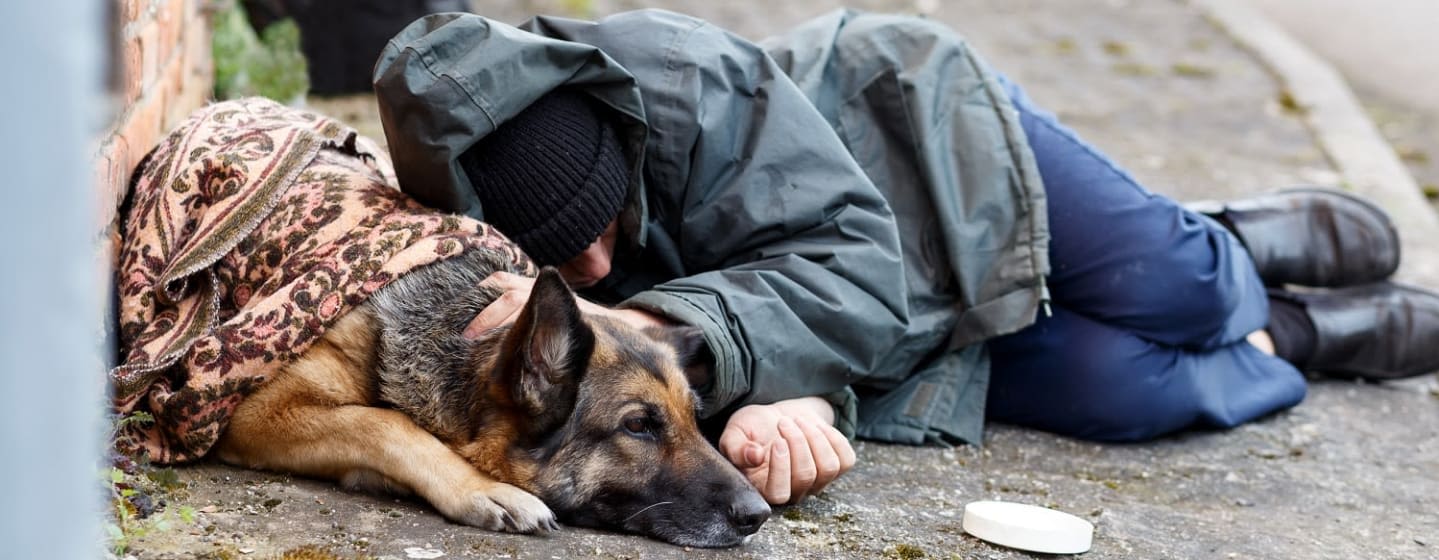 Beyond the Sleeping Bag: Unseen Veterans and the Call for Action on ...