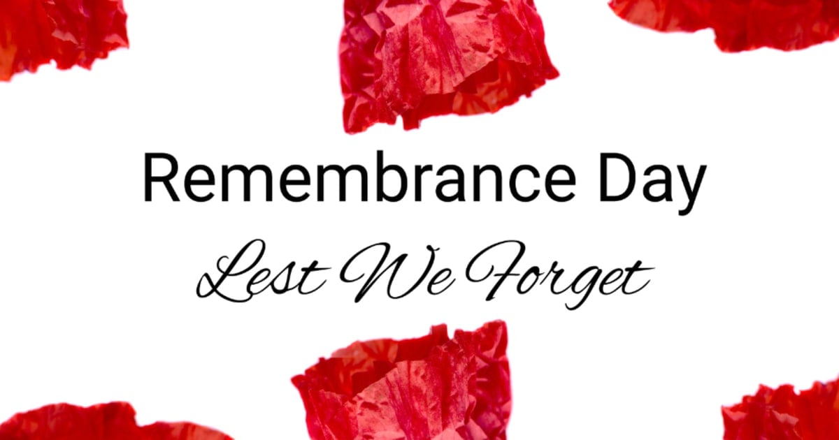 Lest We Forget: The Powerful Significance of Remembrance Day for ...